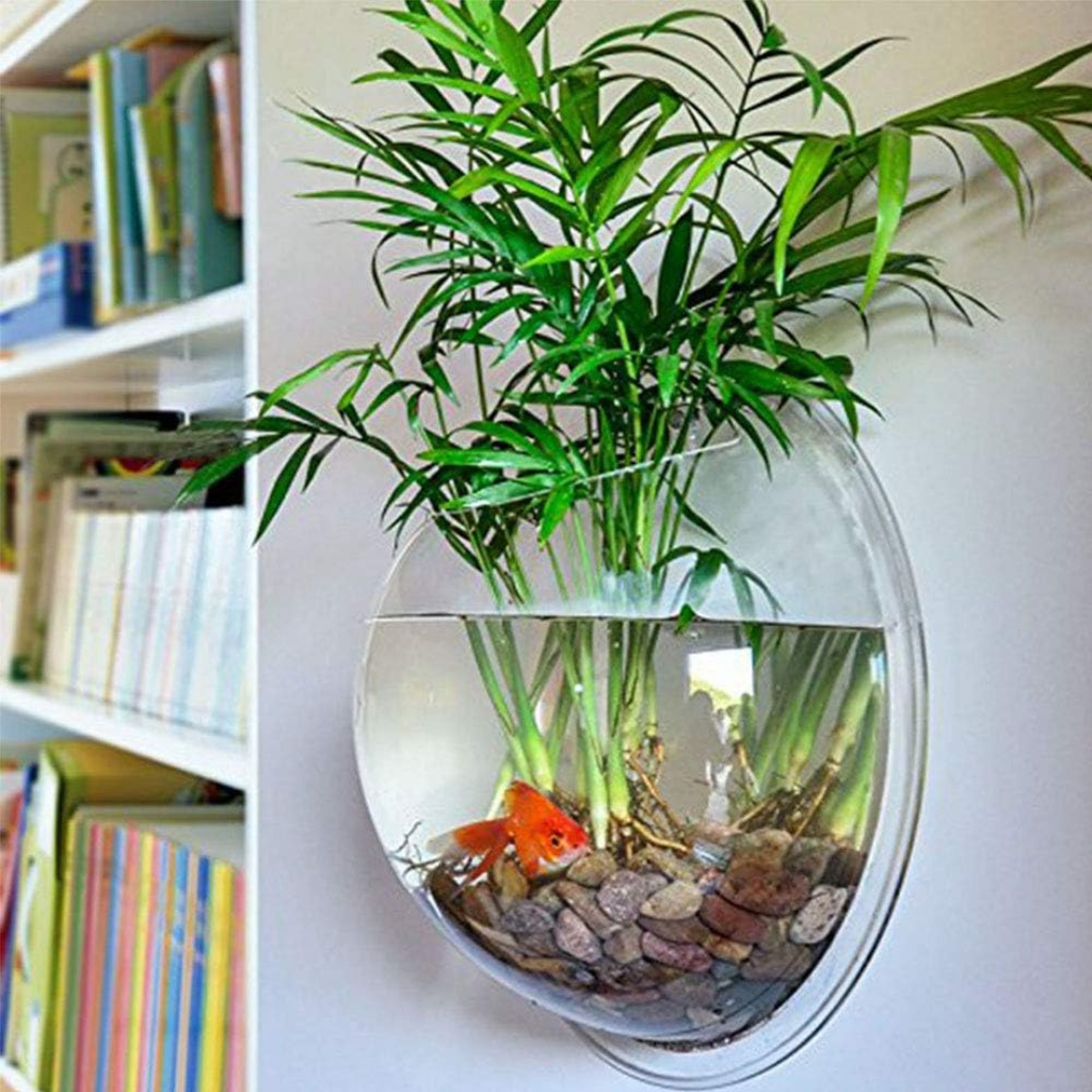 HOMERO Wall Mounted Round Design Acrylic Transparent Fish Bowl